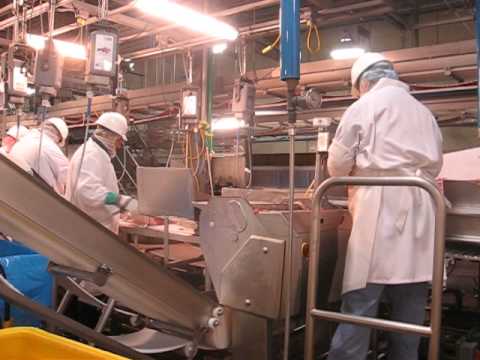 Ham Skin skinner - YouTube