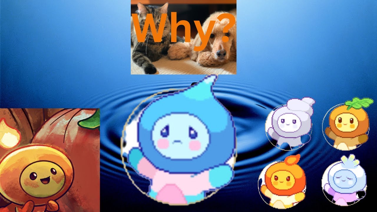 Just.........why? - YouTube