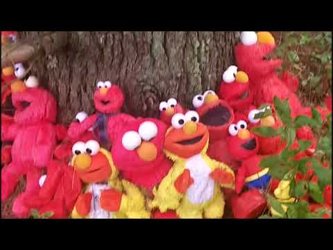 Searching For The Elmo Tree - YouTube