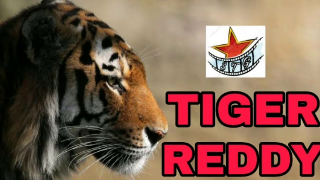 ARJUN REDDY VS TIGER REDDY FIGHT - YouTube