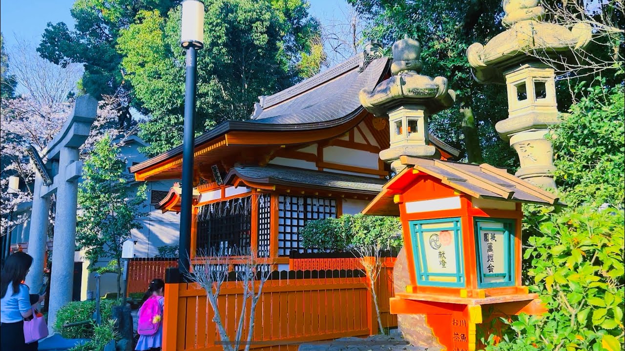 [4K] Japan View ~ walk in Kyoto temple, Japan #videos #osaka #japan # ...