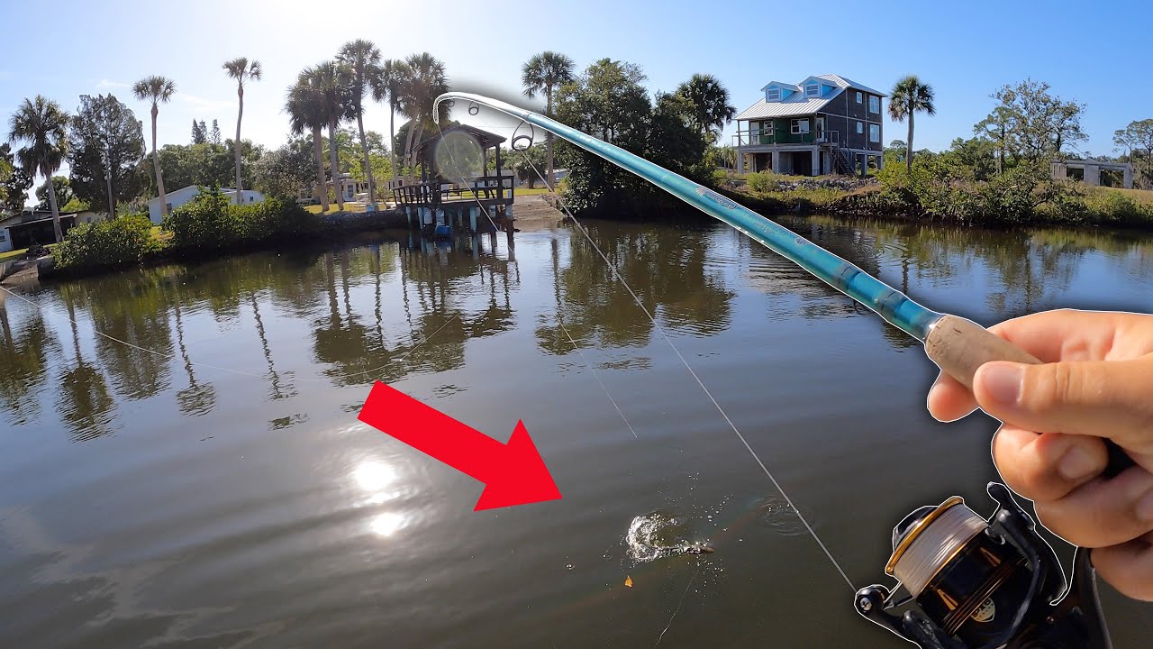 FISHING Shallow Water Areas For Snook & Redfish with LIVE BAIT! - YouTube