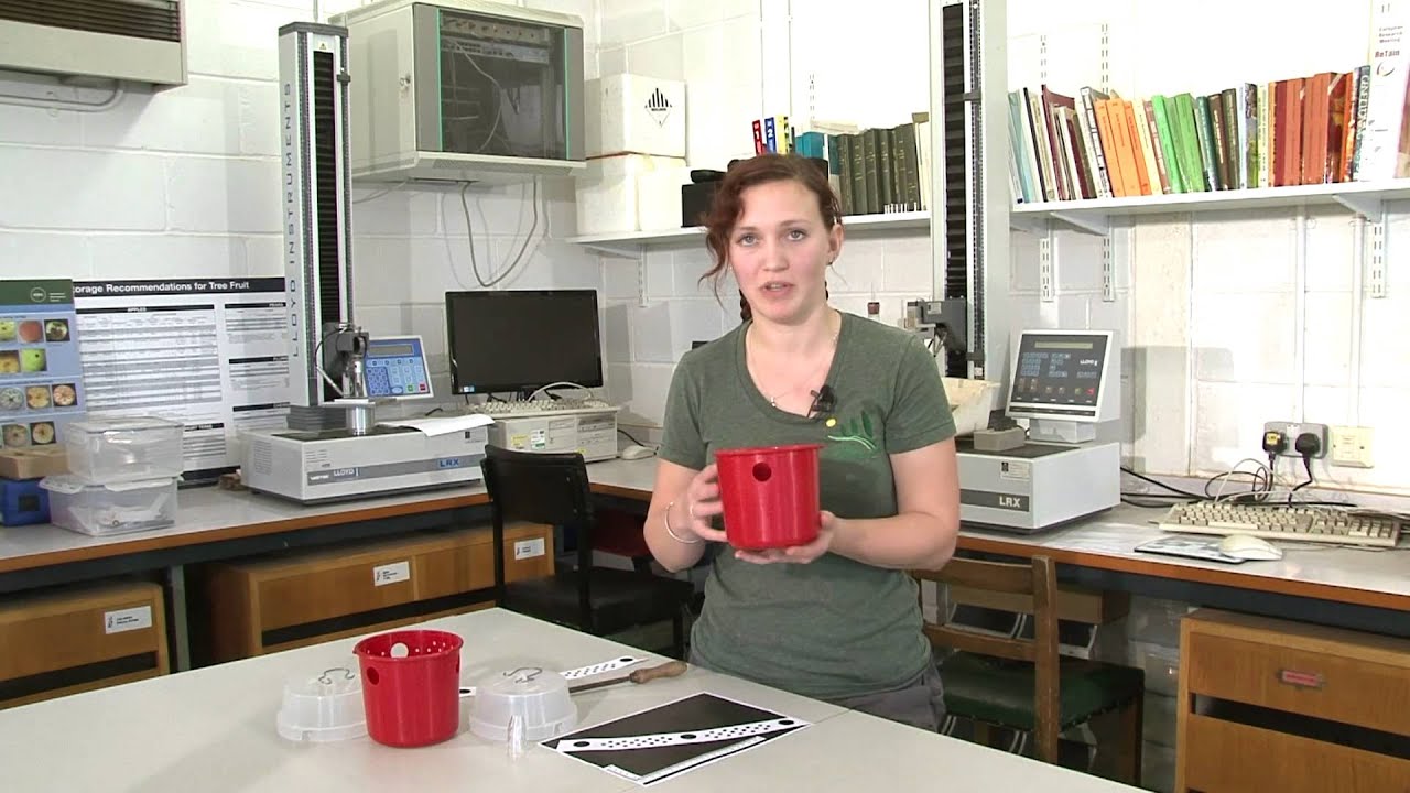 How to make a trap for Spotted Wing Drosophila - YouTube