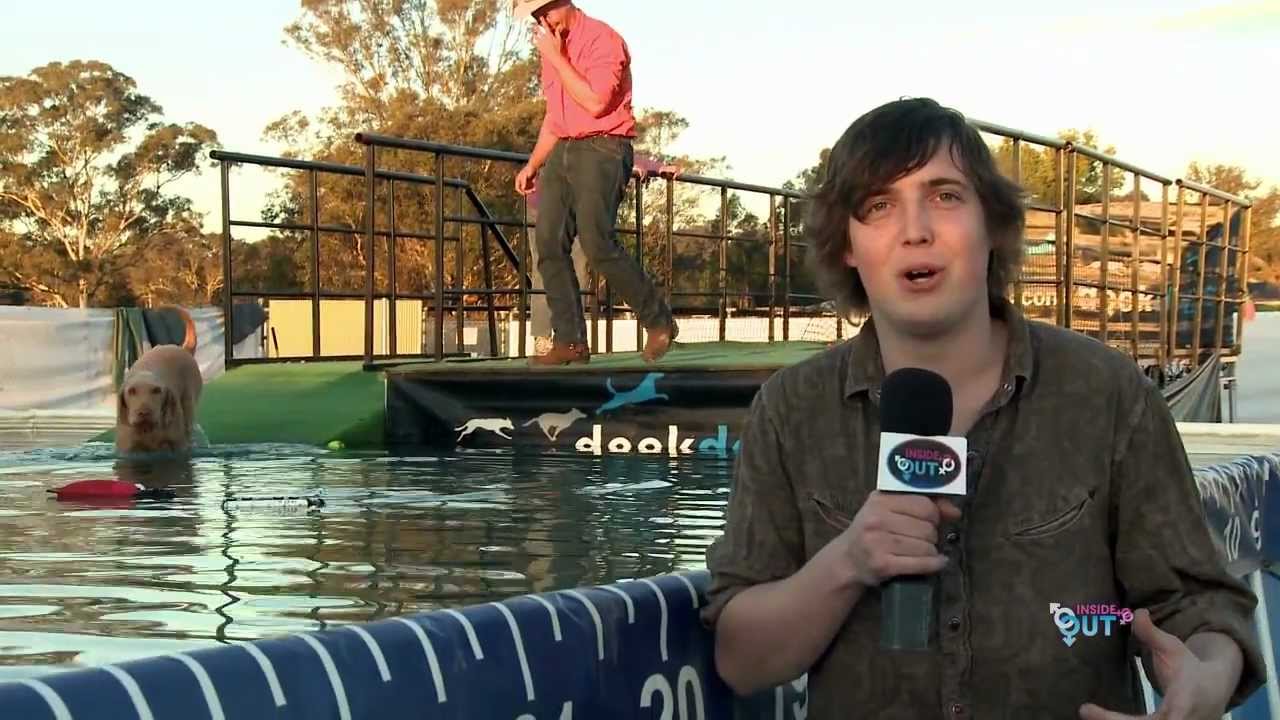 David Graham's Dog Training School - YouTube