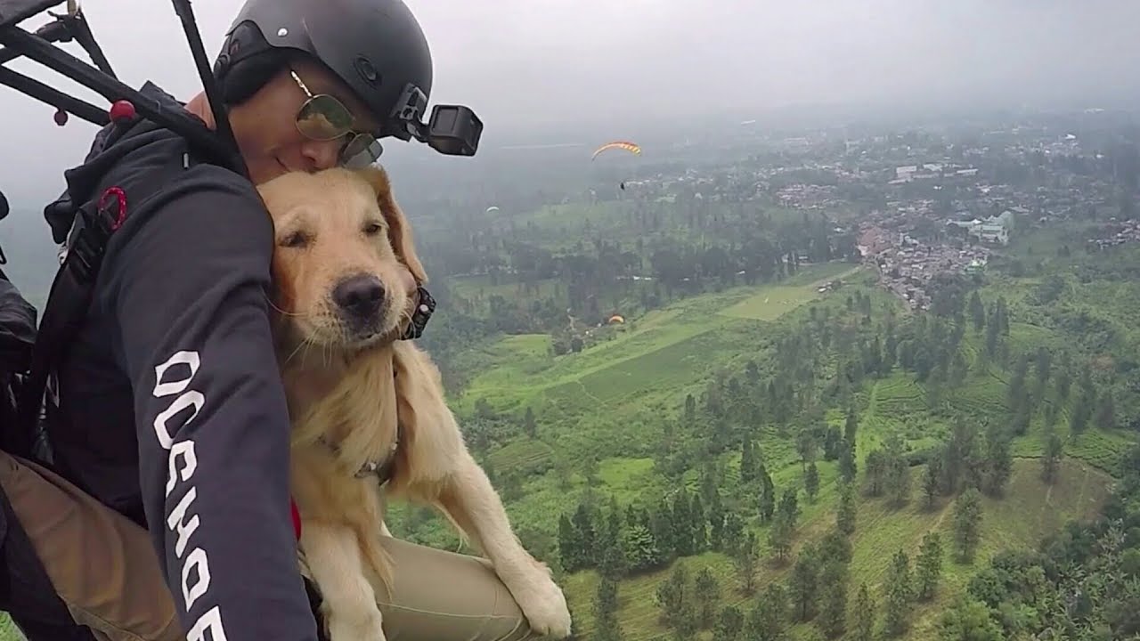 DOGVENTURE Episode 4 - SNOWEE PARALAYANG UNTUK PERTAMA KALINYA ...