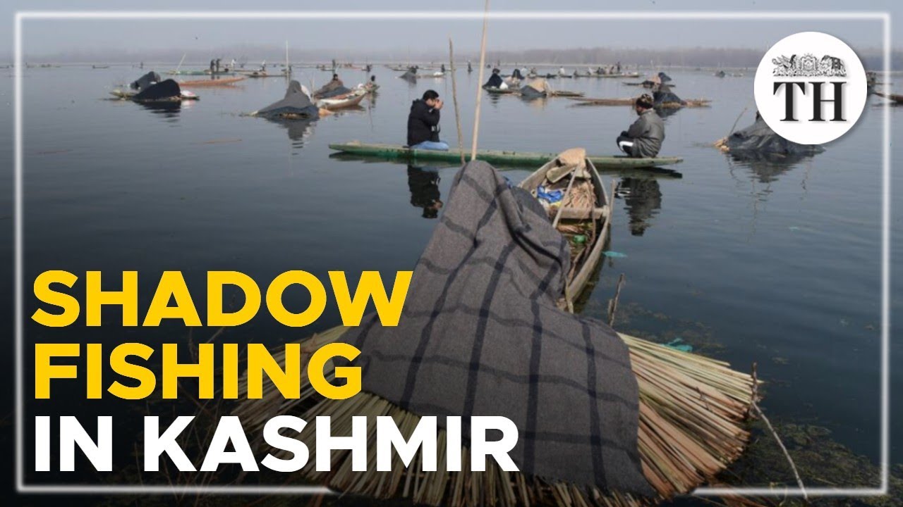 What is Shadow Fishing? - YouTube