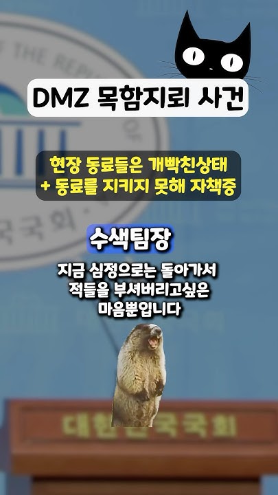 2015 DMZ 목함지뢰 사건 #고양이밈 - YouTube