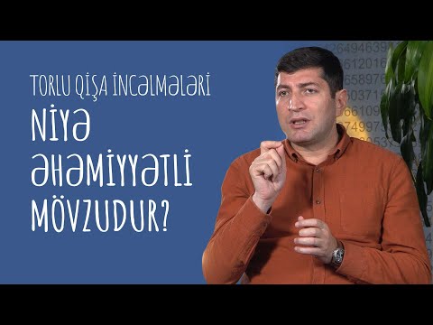 Torlu qişa incəlmələri niyə əhəmiyyətli mövzudur? #RafadarXalilov #TorluQişaİncəlmələri