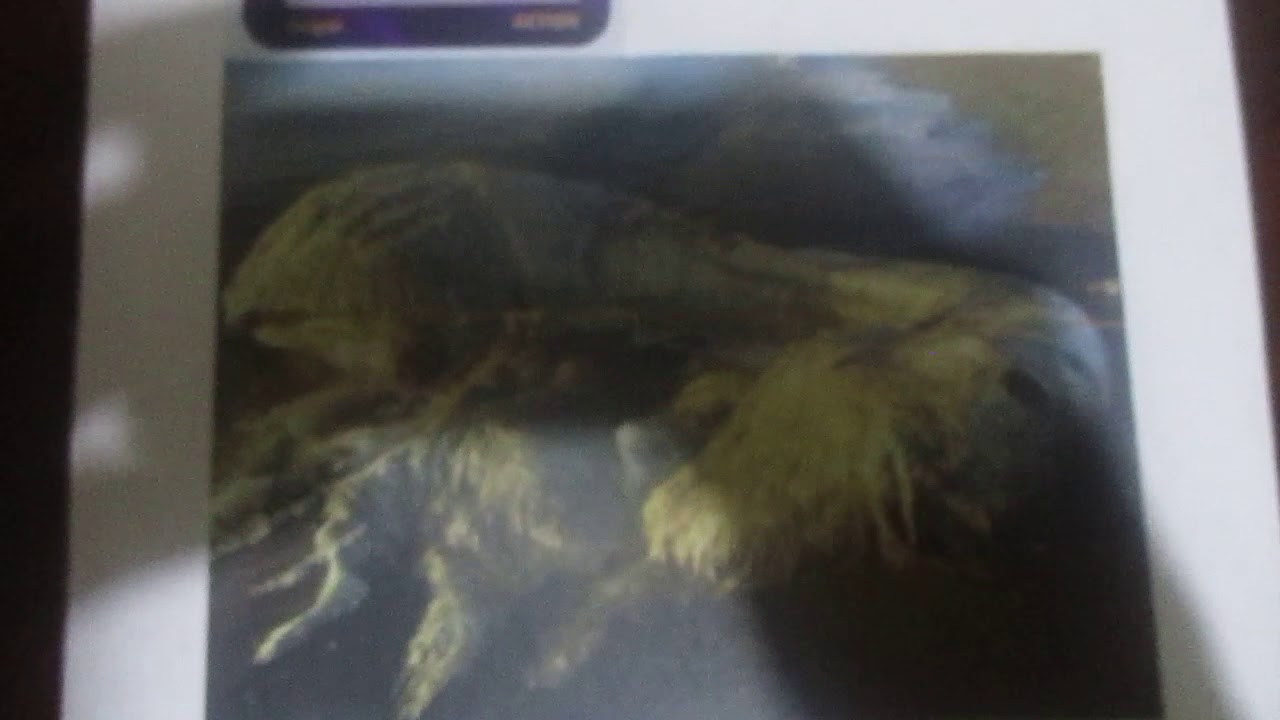 The Illuminati Card, Loch Ness Monster, Predicts The Globster/Mameleu ...