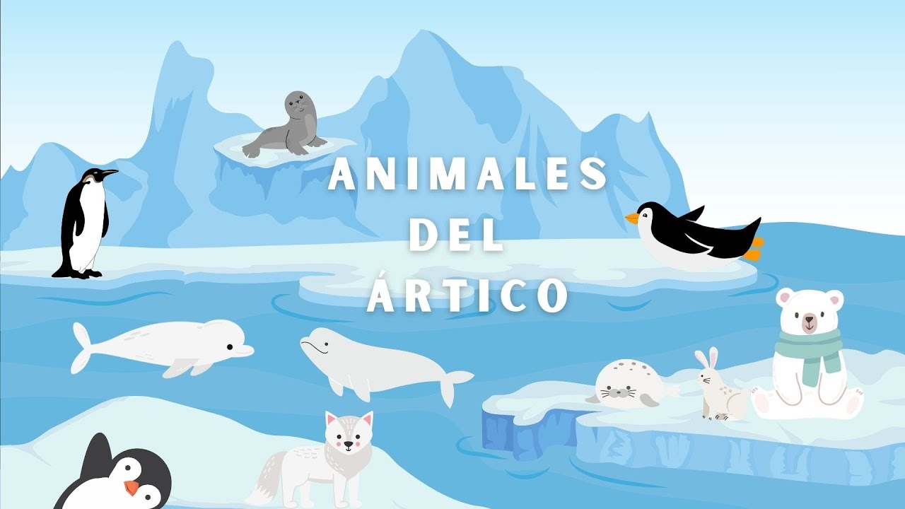 Animales del Ártico (Video Educativo Animado) - YouTube