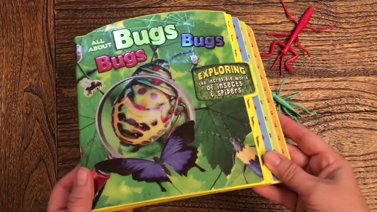 Tell a Tale TUESDAY~ BUGS! - YouTube
