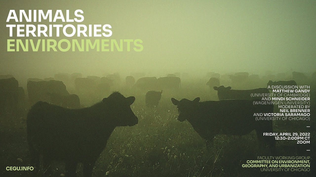 Matthew Gandy & Mindi Schneider: Animals, Territories, Environments ...