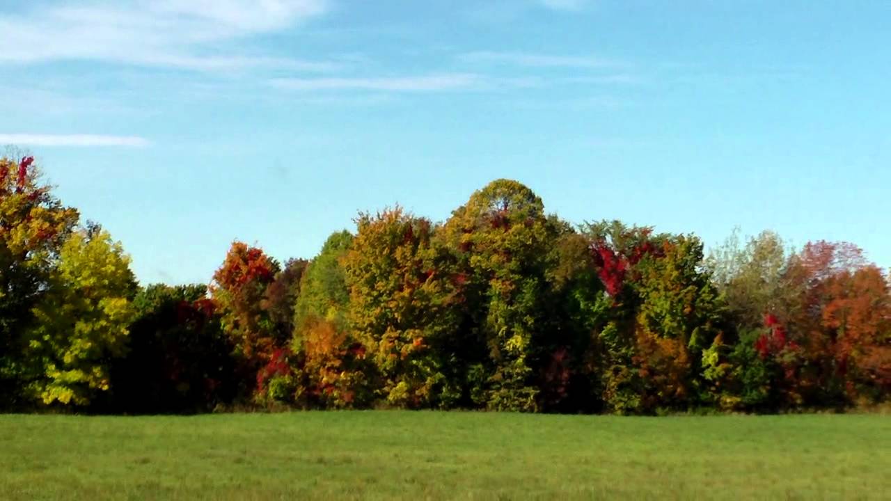 Fall colors Tour....Treeline in Oro Township Ontario - YouTube