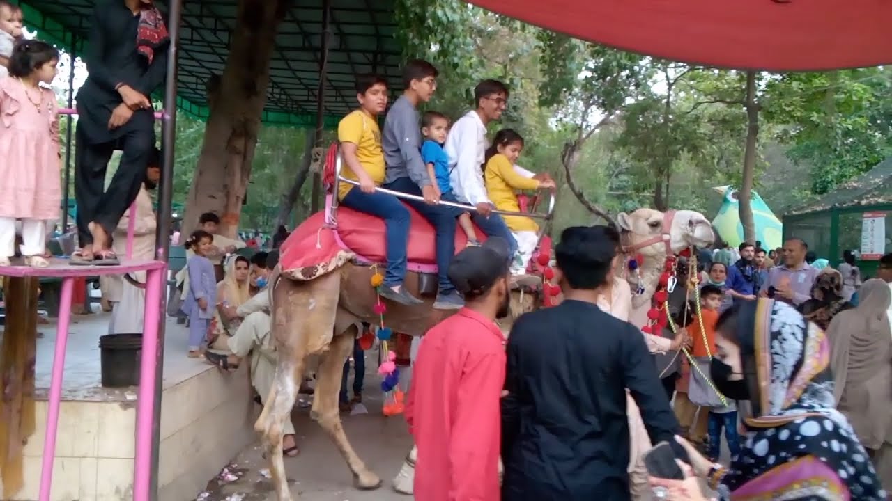 Vlogs Pakistani Zoo Lahore Pakistan 2022 - YouTube