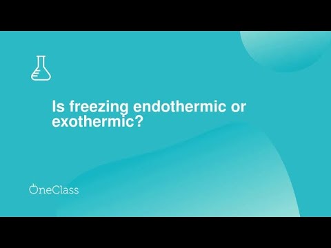 Freezing Water Releases Heat?! Mind-Blowing Science - whattoknow.blog