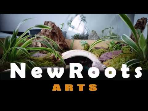 New Roots Arts Janvier 2017 - YouTube