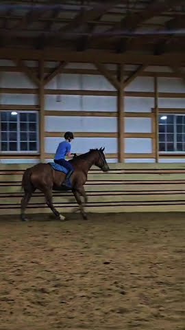 What a good gentleman!! He has been getting better with bareback - YouTube
