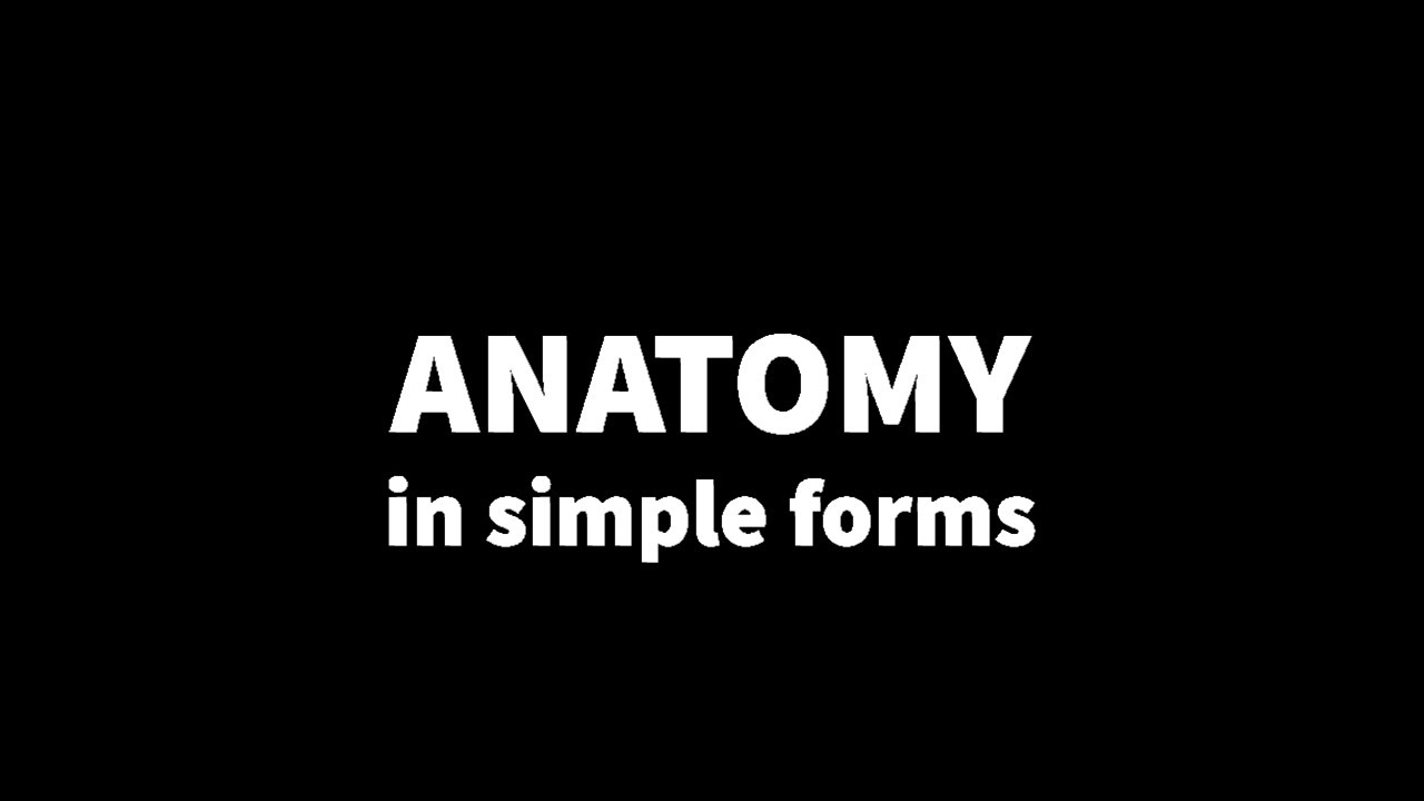Anatomy in Simple Shapes and Forms! - YouTube