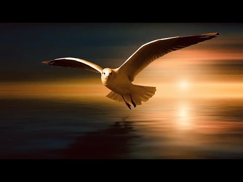 CARAVELLI & HIS ORCHESTRA - THE WINNER TAKES IT ALL