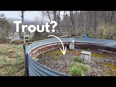 Restoring an Abandoned 1970s Trout Hatchery | Day 1