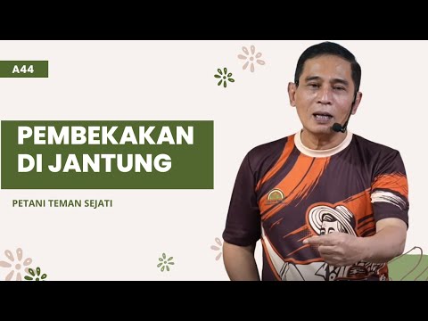 Pembekakan Di Jantung