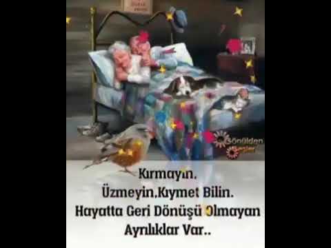 Anlamlı  vidyo
