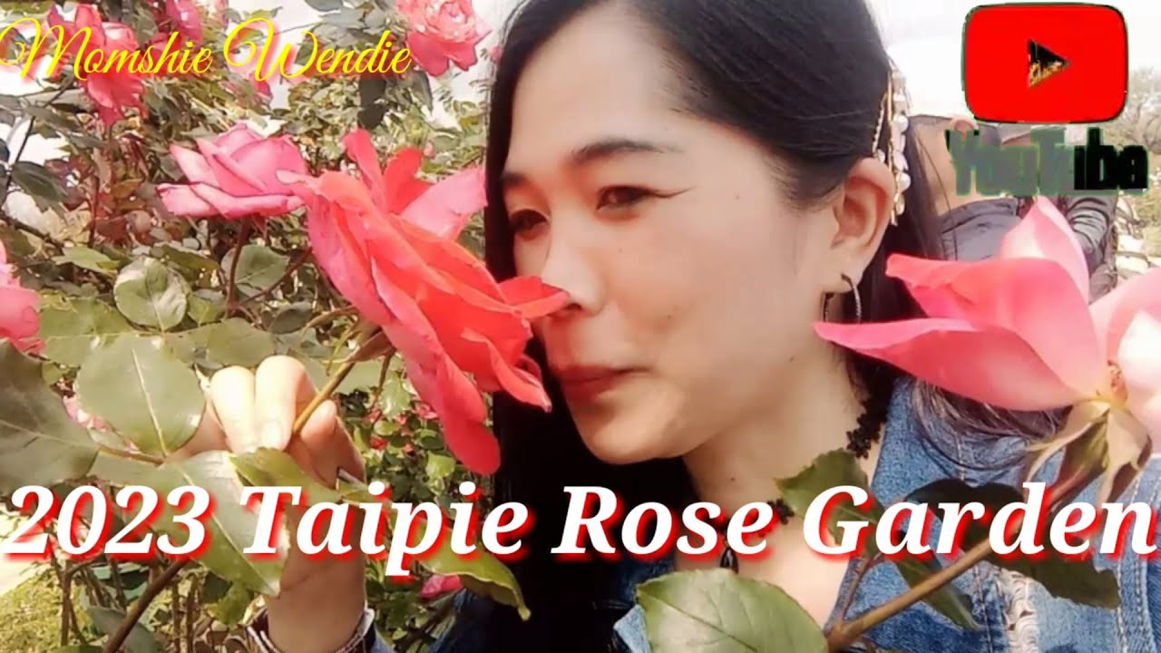 2023 Taipie Rose Garden //Momshie Wendie - YouTube