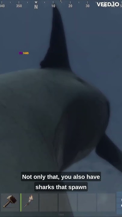 Rust Admin POV: Base Floats on Water, Collects Loot and Has Sharks #shorts #rust #rustroleplay ...