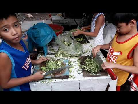 Pagtadtad ng gulay para sa mga pagkain para sa manok pato at pabo - YouTube