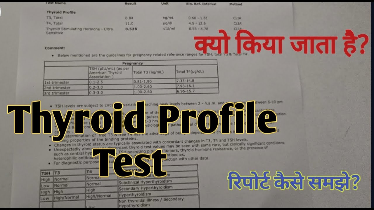 Thyroid Profile | Thyroid profile test - YouTube