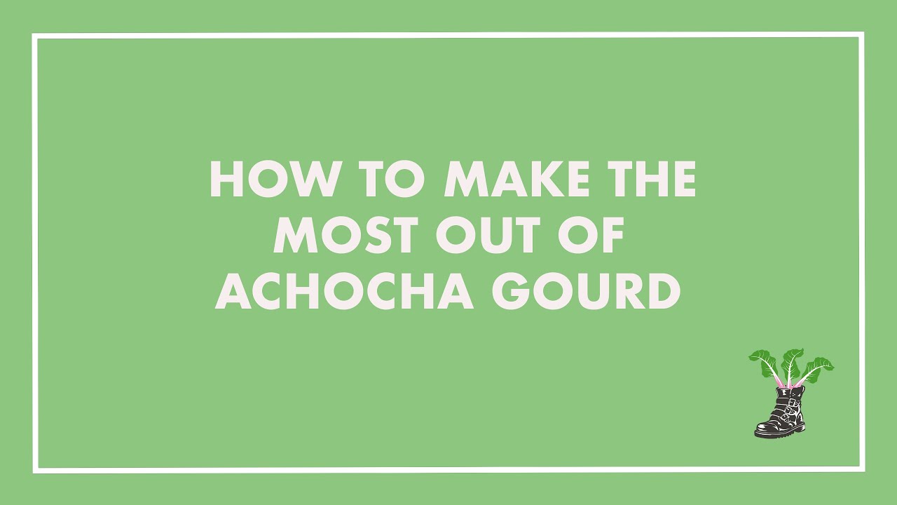How To Make The Most Out of Achocha Gourd - YouTube
