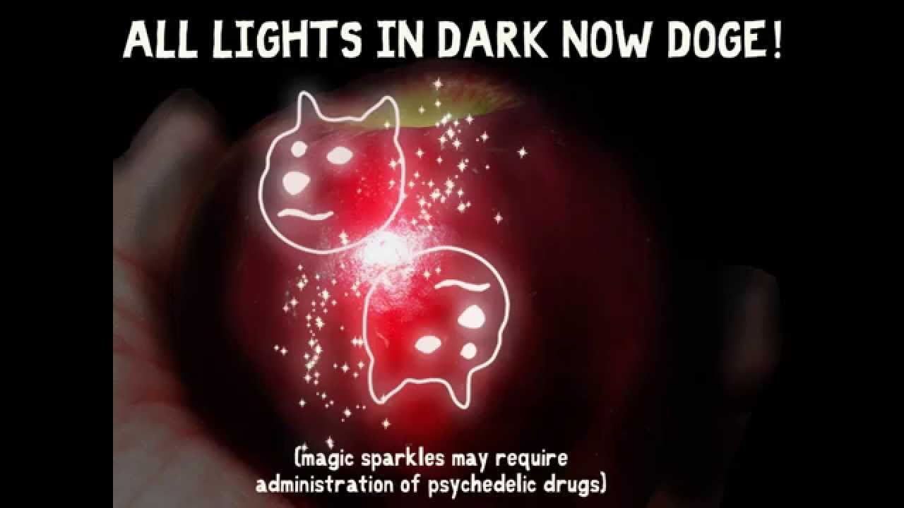 ༼つ ๏_๏ ༽つ⌐ - Get Magic Doge Glasses! ༼つ ⌐[ຜ]-[ຜ] ༽つ - YouTube