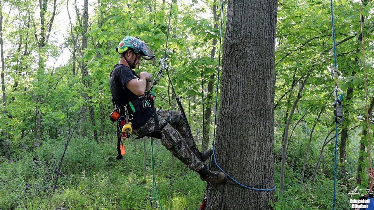 Basal Anchor Drop Test - YouTube