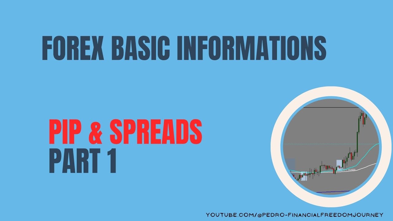 FOREX BASIC INFORMATIONS PIP & SPREADS - YouTube