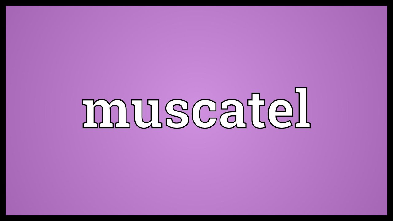 Muscatel Meaning - YouTube