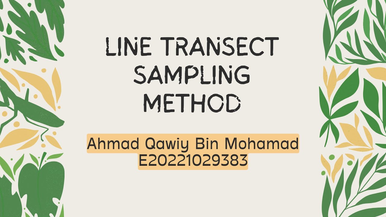 Line Transect Sampling Method Ahmad Qawiy Bin Mohamad - YouTube