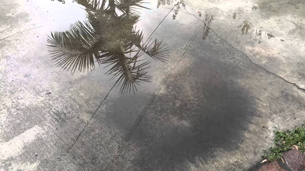 Rain time lapse - YouTube