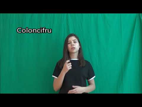Coloncifru - YouTube