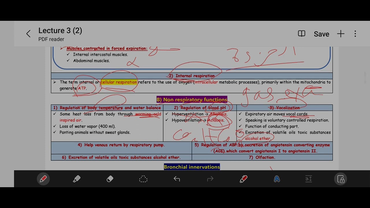 Physio NVU lecture 3 part 1 - YouTube