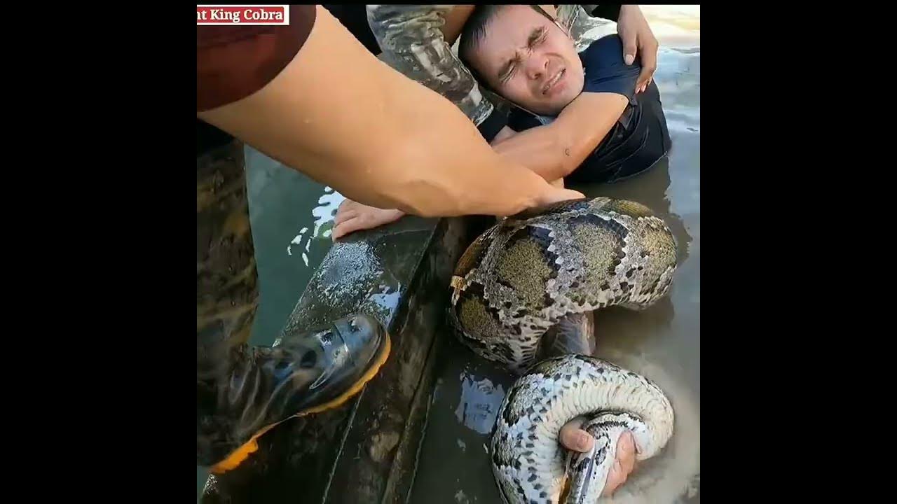 इस जीव की हड्डी गिनते थक जाओगे 😲 Most Bone and Less Bone Animal | Shark ...