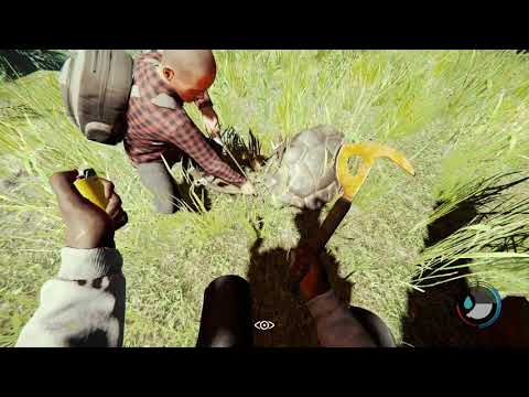 How to kill a turtle properly - YouTube