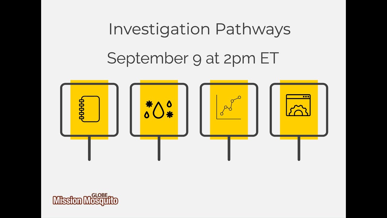Investigation Pathways - YouTube