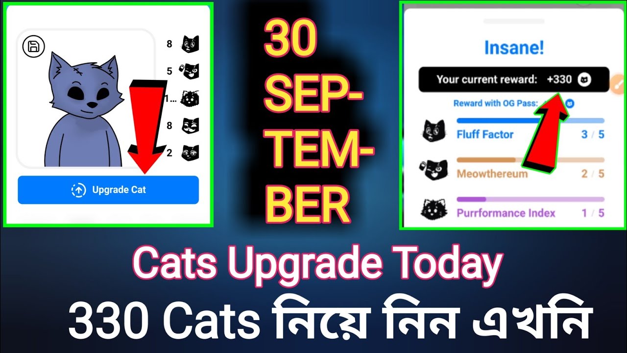 30 September upgrade cats | cat photo upload | cat avatar today - YouTube