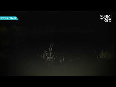 Baki sakini Shekide golde batdi