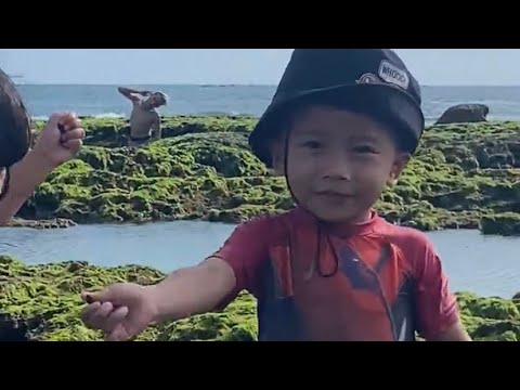 indahnya perjalanan menuju pantai cimari garut