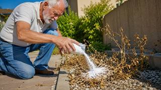 It's not vinegar or salt, but it kills weeds overnight!