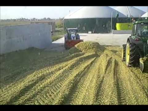 Azienda agricola Belluco: Ceroso 2011 - YouTube