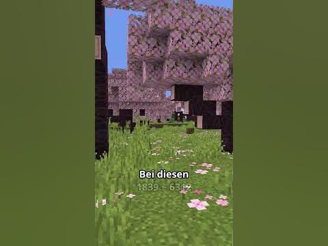 Der Seed vom Minecraft Startbildschirm - YouTube