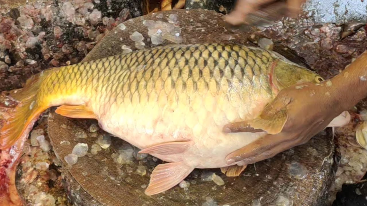 Bangaru papa fish / Gold fish cutting video | Musheerabad Fish Market ...