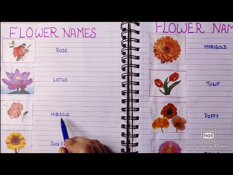 Flower Names Writing 🌹🌺🌻|| 20 Most Important Flower Names || Flowers ...